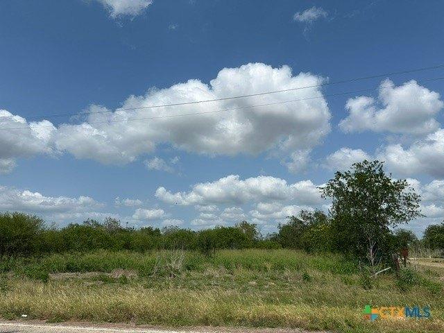 2506 Farm Rd Lots 3 & 4, Fannin, TX 77960