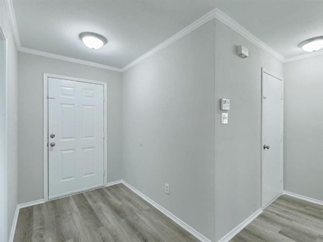2508 Pecan Drive