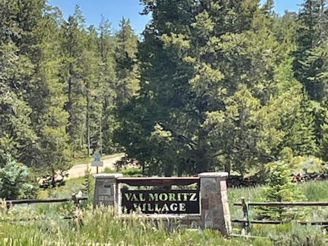 2509 Gcr 88 Dr, Granby, CO 80446 | MLS #25 1009