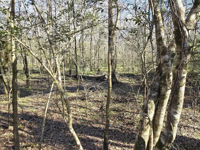 2500 County Road 2500, Liberty, TX 77575 | MLS #50322 | Compass