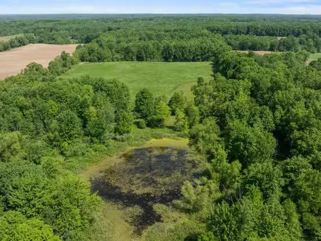 2500 E HASTINGS LAKE RD, JONESVILLE, MI 49250 Vacant Land For.