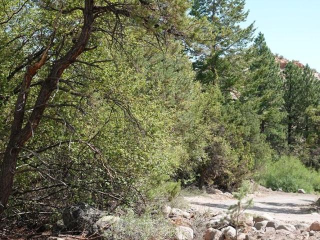2500 S Birch Creek Rd, Teasdale, UT 84773