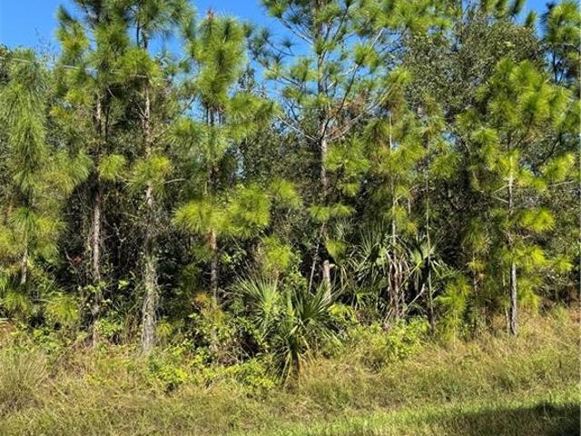 2501 E 9th St, Lehigh Acres, FL 33936 | MLS #224096