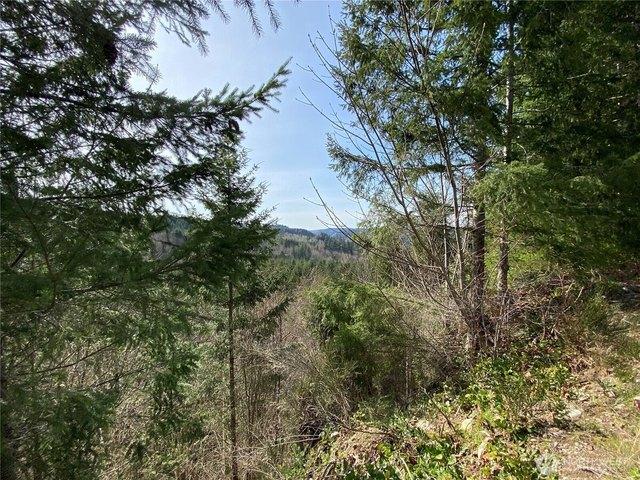 250th Ave E Lot 3, Orting, WA 98360