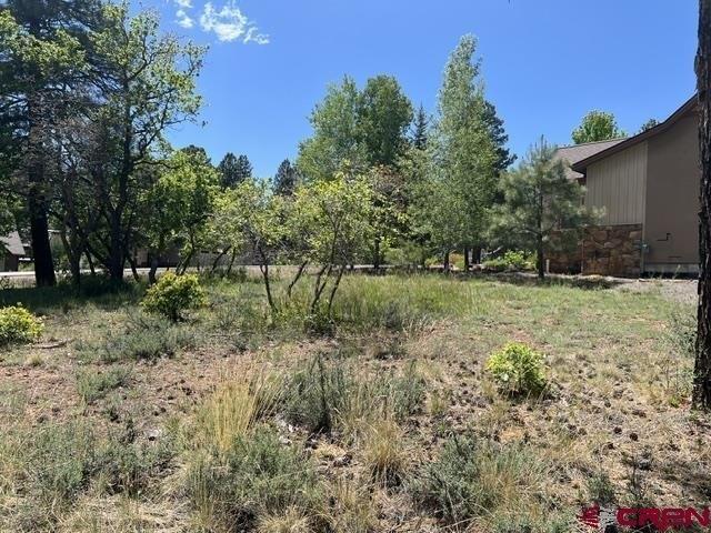 250 Copper Rim Trl, Durango, CO 81301