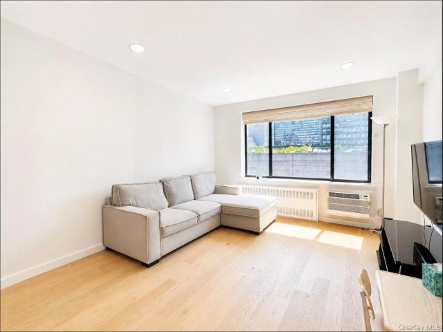 250 E 31st Street 6A