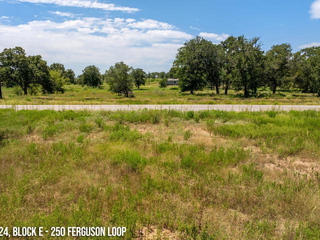 250 Ferguson Loop