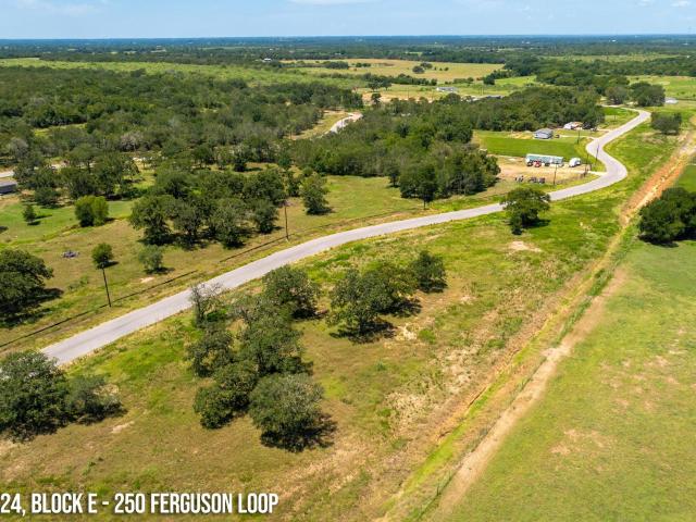 250 Ferguson Loop