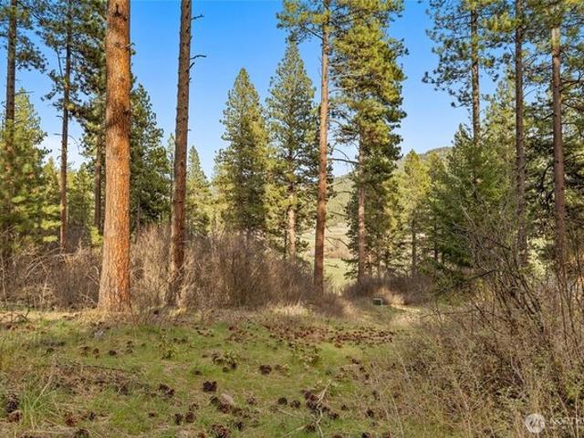250 Fir Tree Dr Lot 3 1, Cle Elum, WA 98922