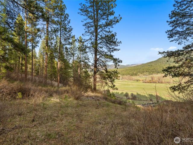 250 Fir Tree Drive
