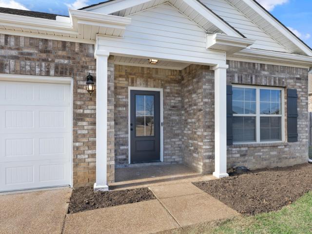 250 lilly dr