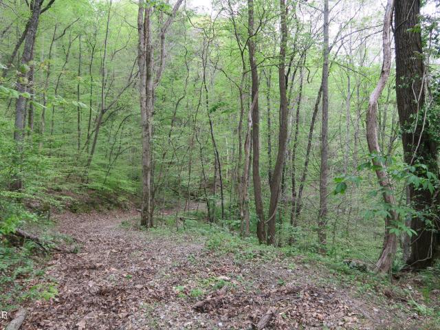 250 Mountain Side Lane
