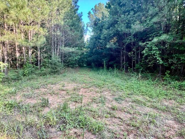 250 Mobley Crossing