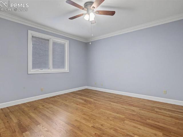 250 Mayfield Ln, Colorado Springs, CO 80906 | MLS #8545