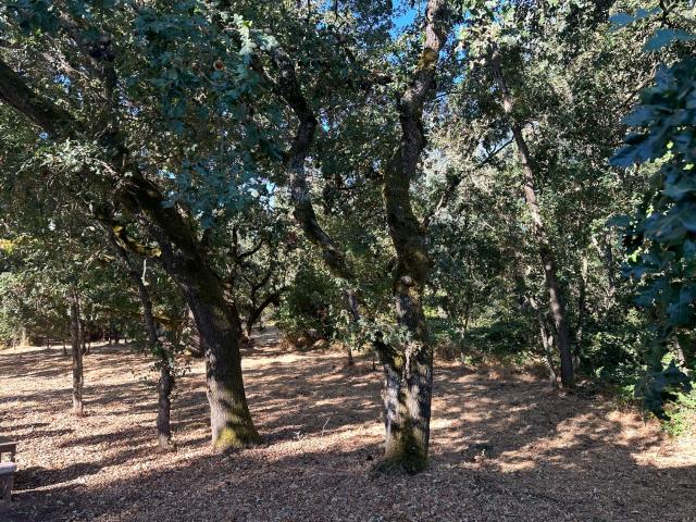 250 Napa Road, Sonoma, US, CA