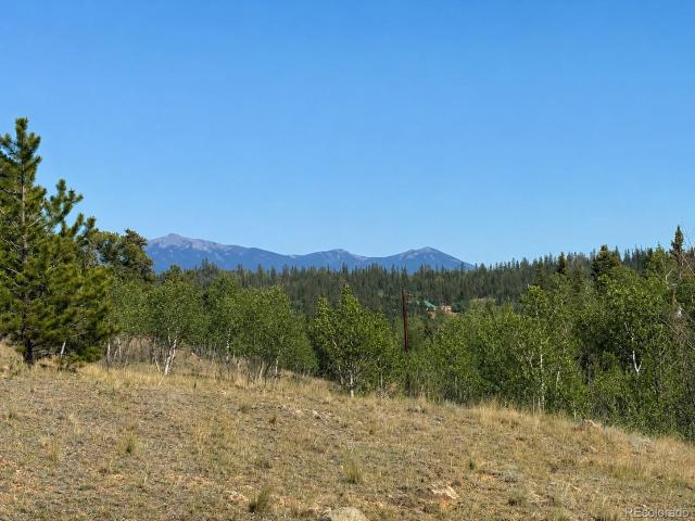 250 Pinto Trail