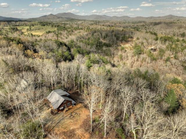 250 Wolf Crk Mountain Rd, Mineral Bluff, GA 30559 | MLS #429117