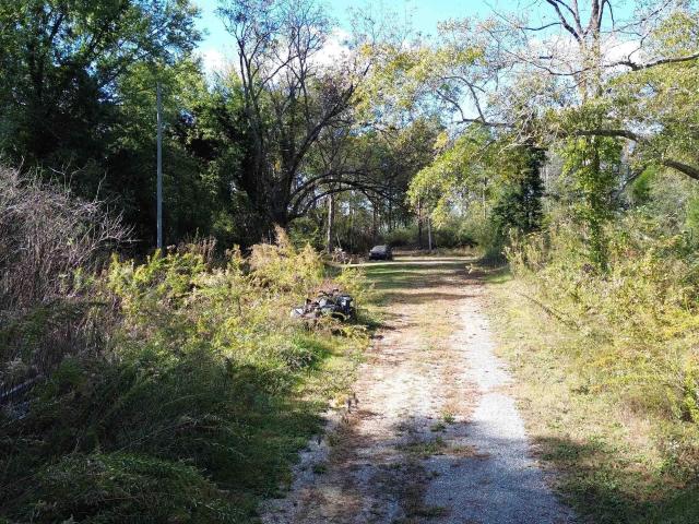250 Wildcat Woods
