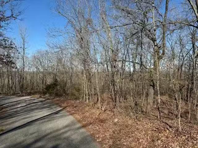 250 WINDWOOD COUNTRY RD, EL PASO, AR 72045 Vacant Land For Sal.