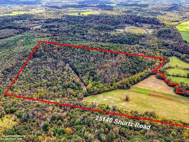 25140 Shurtz Road