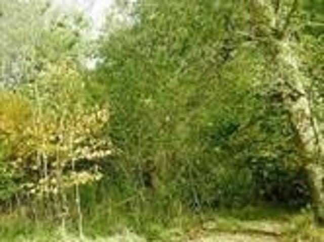 25140 Silver Crest Dr, Damascus, MD 20882