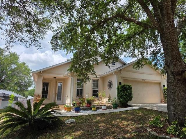25147 Ironwedge Dr, Sorrento, FL 32776