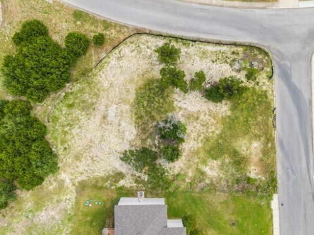 25151 Buffalo Clover
