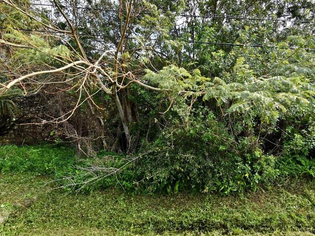2516 Rolyat St, Fort Pierce, FL 34947 | MLS #F10552