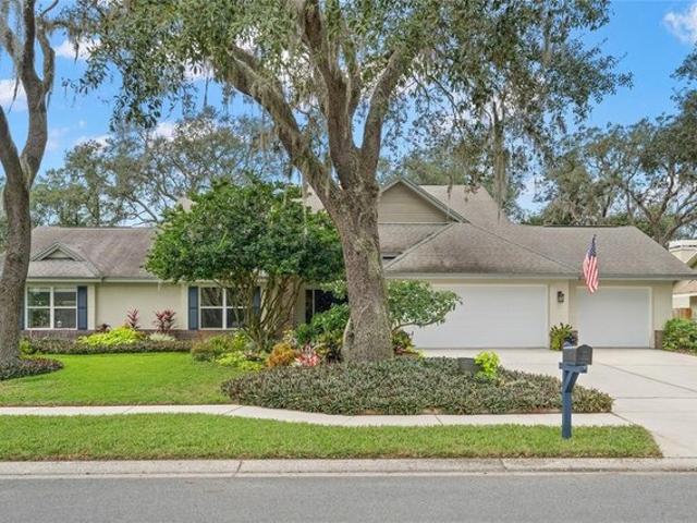 2517 Mason Oaks Dr, Valrico, FL 33596