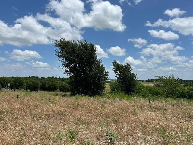 2517 Tom Chaney, Unit 103, Cresson, TX 76035 | MLS #21145