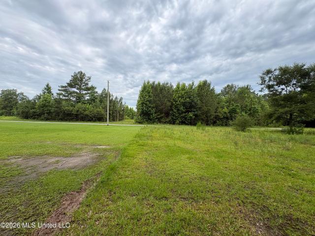 2517 Will Kibby Road