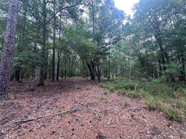 2518 FM 943, Livingston, TX 77351