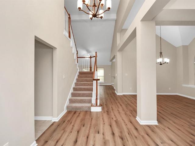 2519 Palace Drive
