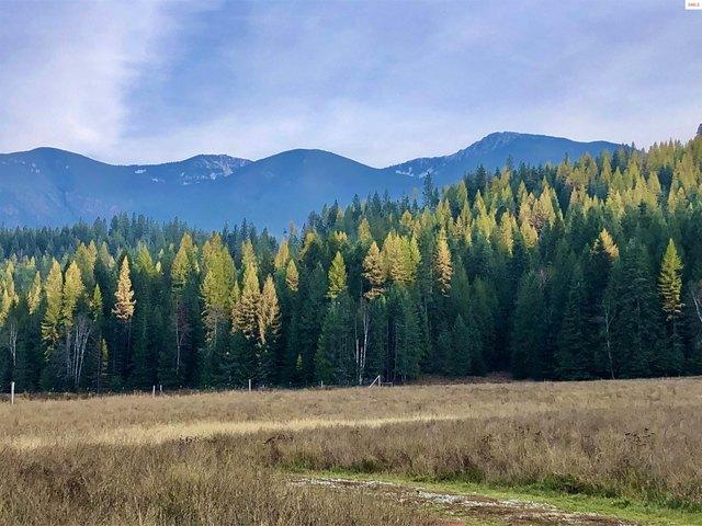 2510 Parker Canyon Rd, Bonners Ferry, ID 83805