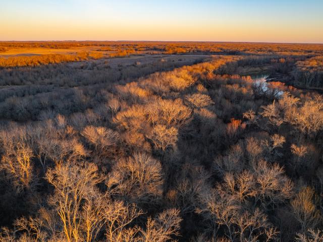 25119 Private Rd 8496, Athens, TX 75751 | MLS #1941