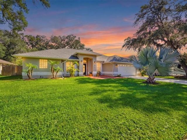 2511 Viny Ct, Tampa, FL 33618