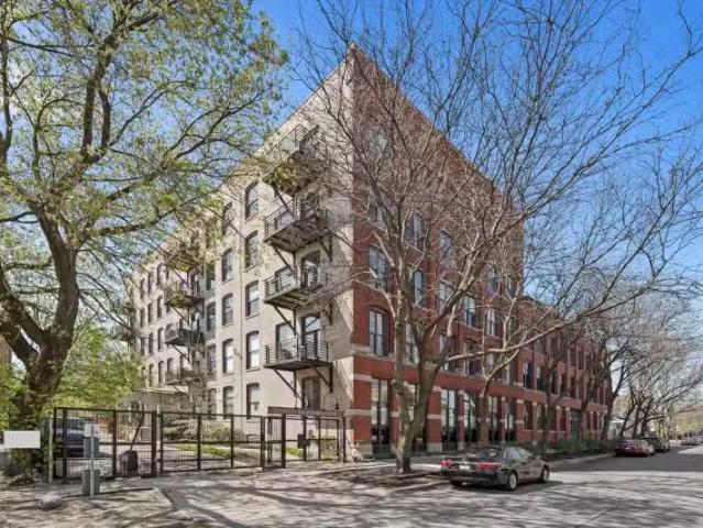 2511 W Moffat Street, 205, Chicago, IL 60647