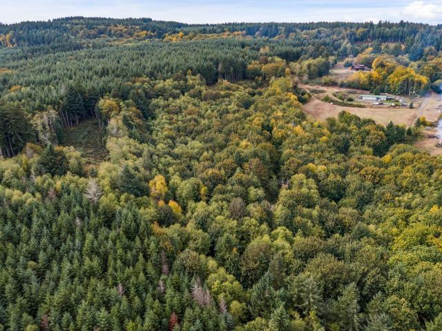 251 48 Crego Hill Rd, Chehalis, US, WA