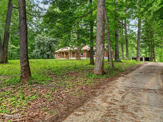 251 Colyer Ln