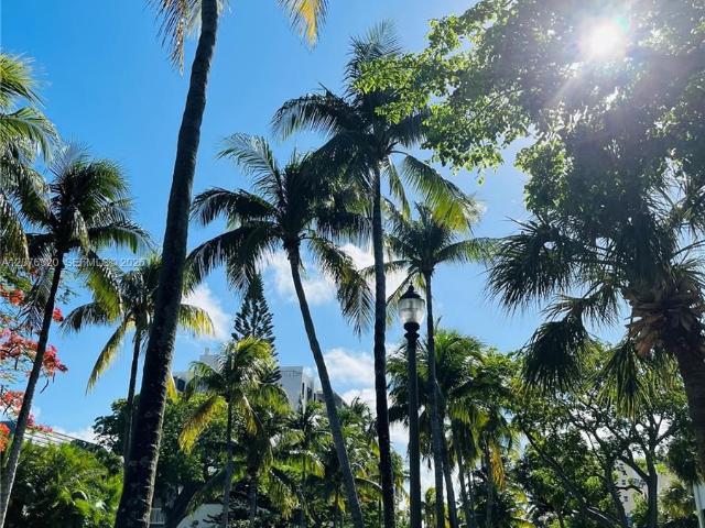 251 Galen Dr Unit 101E, Key Biscayne, US, FL