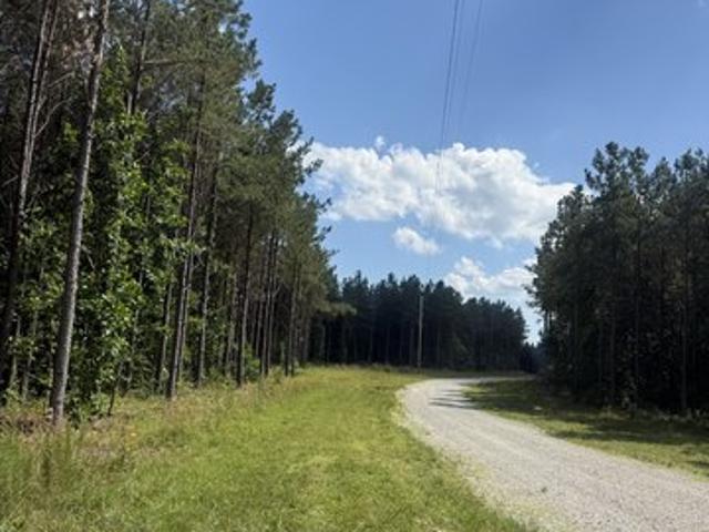 251 Fox Ridge Rd, Hohenwald, TN 38462