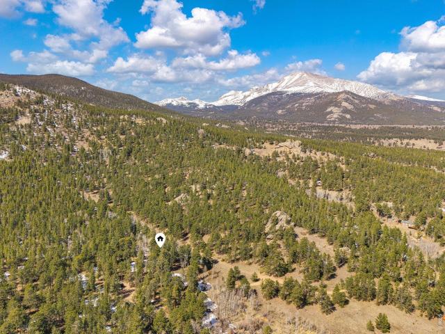 251 Haugen Slide Rd, Allenspark, CO 80510 | MLS #1054