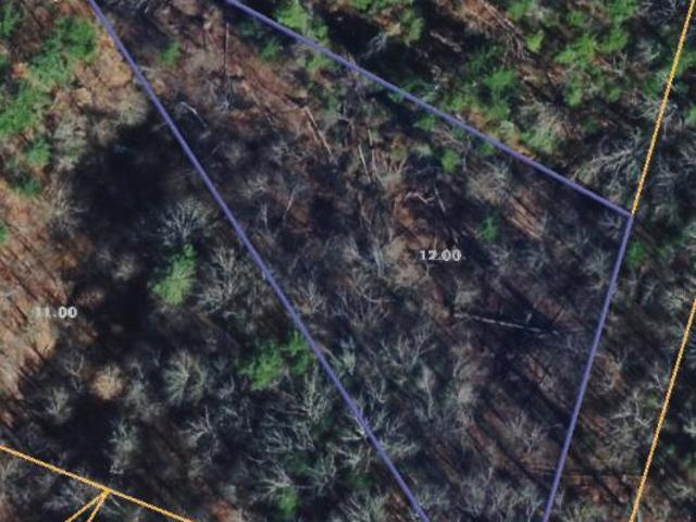 251 Mine Hollow Rd