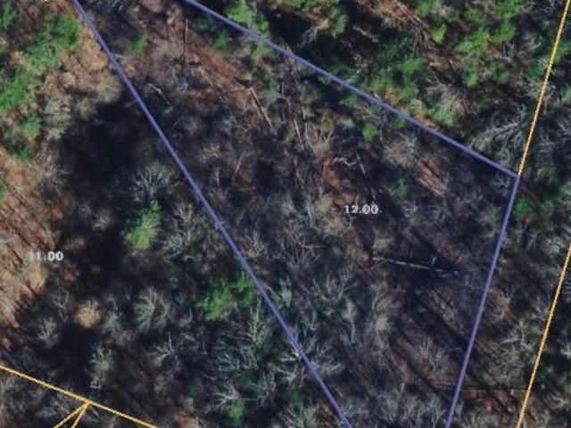 251 Mine Hollow Rd
