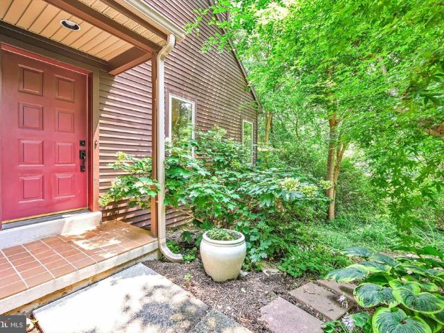 251 Poplar Lane