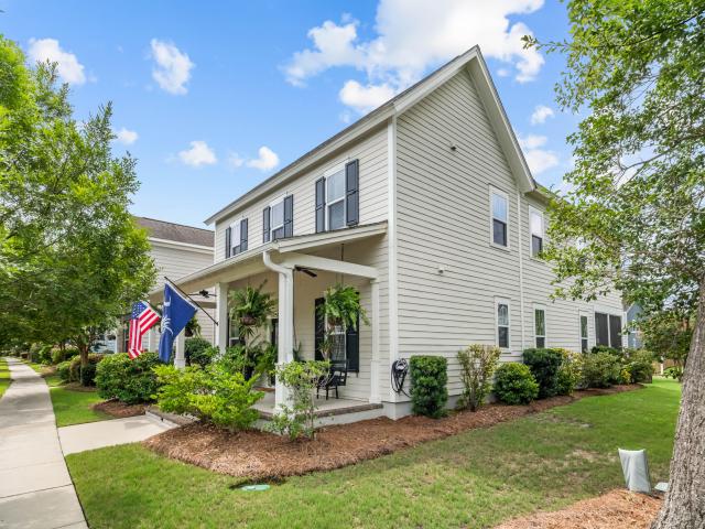 251 Ribbon Road
