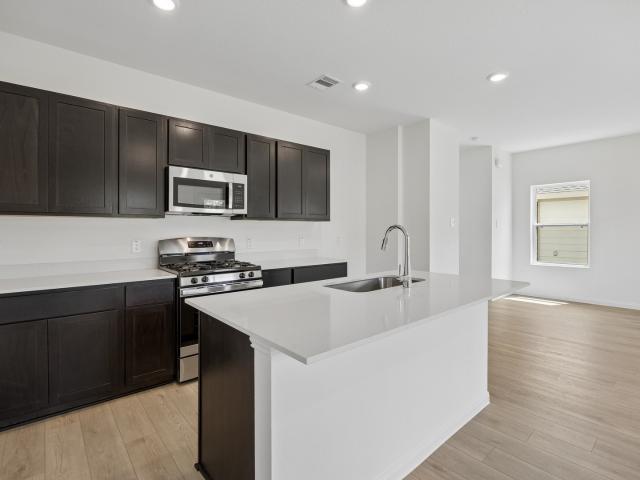 25251 Leather Leaf Court