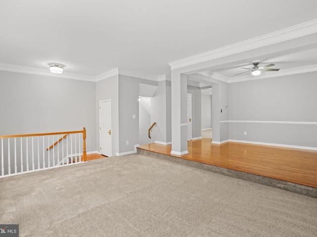 25257 Bald Eagle Terrace