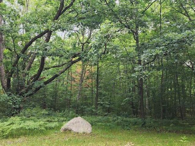 2525 Seeley Road, Cadillac, MI 49601