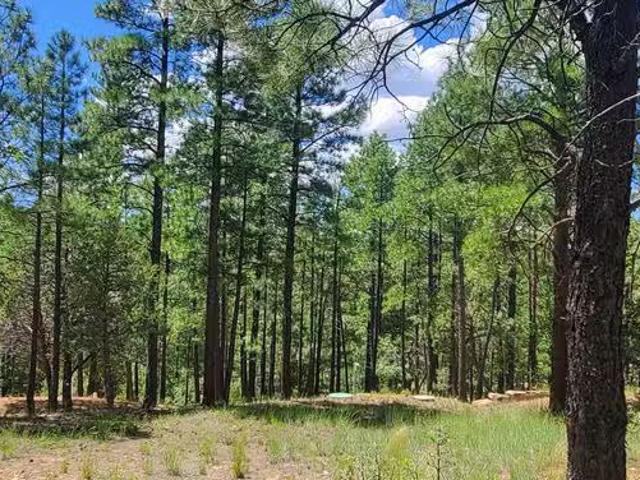 2526 Well Water Rd #322, Happy Jack, AZ 86024 MLS 6745263